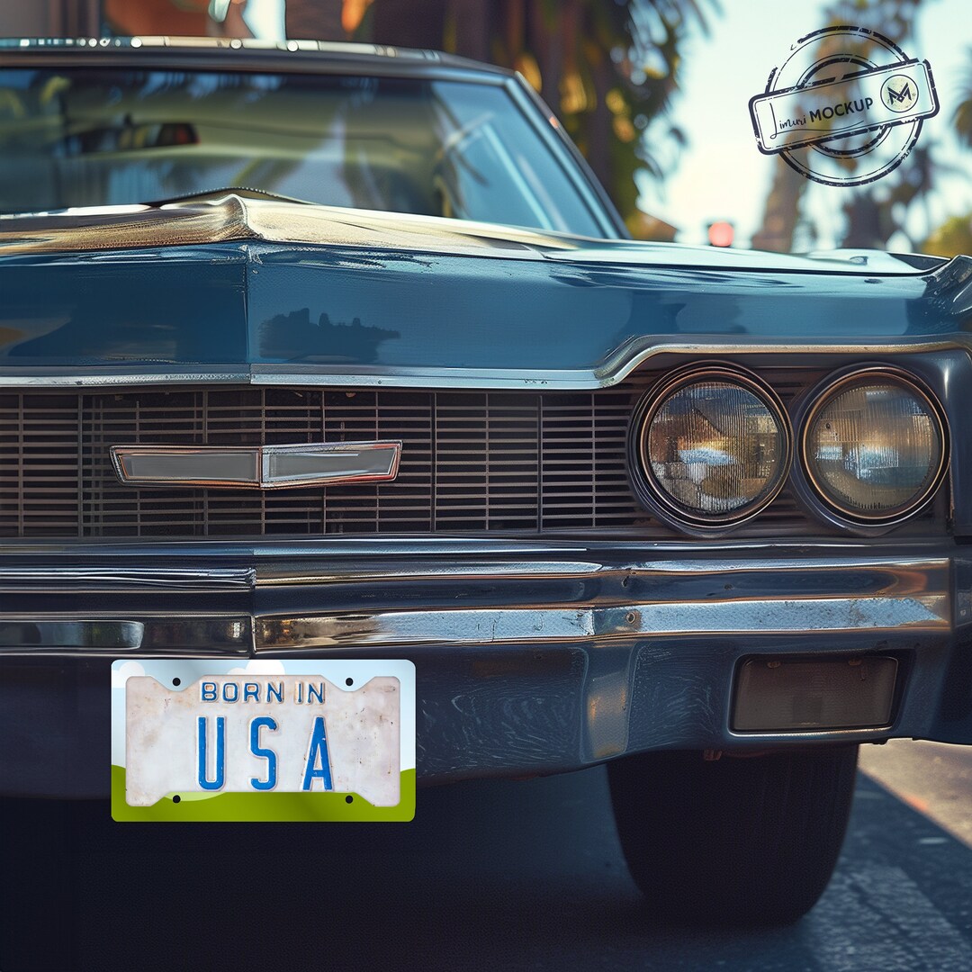License Plate Mockup, Aesthetic Design for Car Plate 12.3x6.5, Plate ...