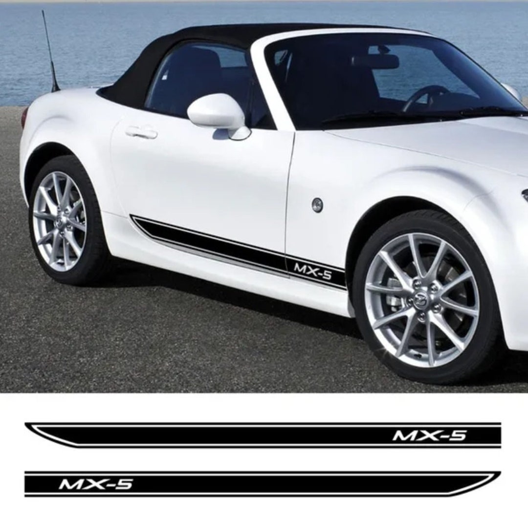 Universal Car Stripes, Decals, Stickers, Vinyl Graphics, Vinyl Decals ...