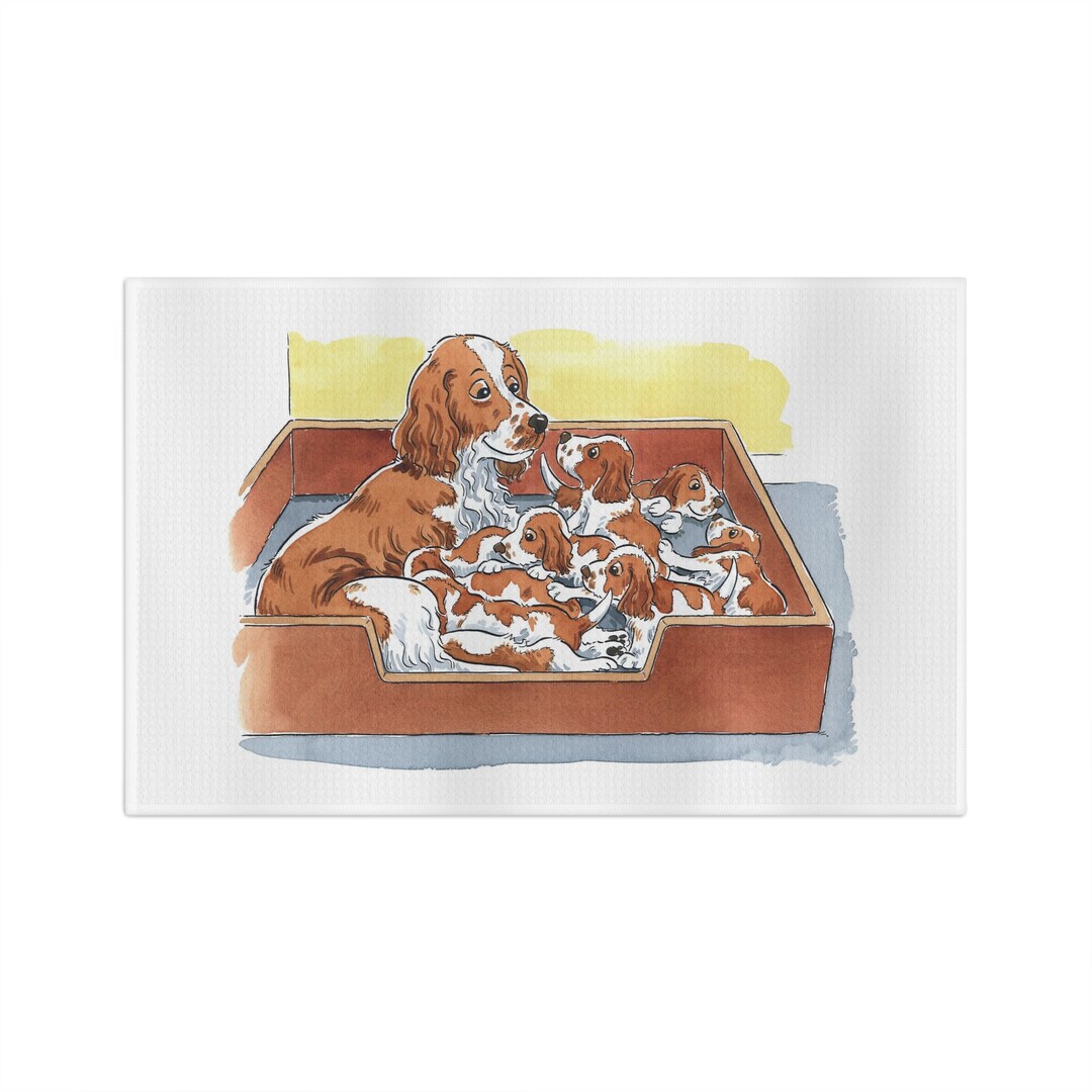 1 Charlie's Litter charlie the Welsh Springer Spaniel - Etsy
