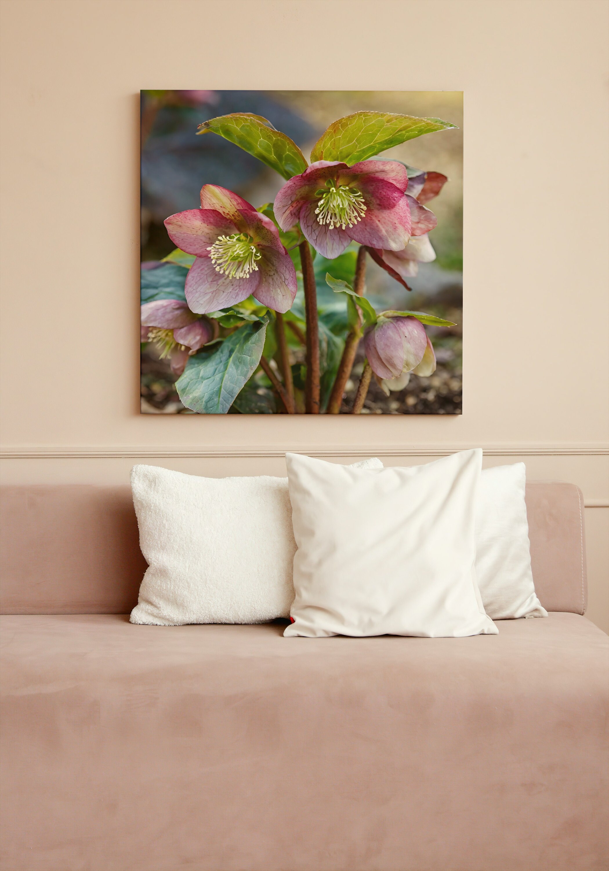 Printable Helleborus Orientalis Flower in Garden Wallpaper, Digital ...