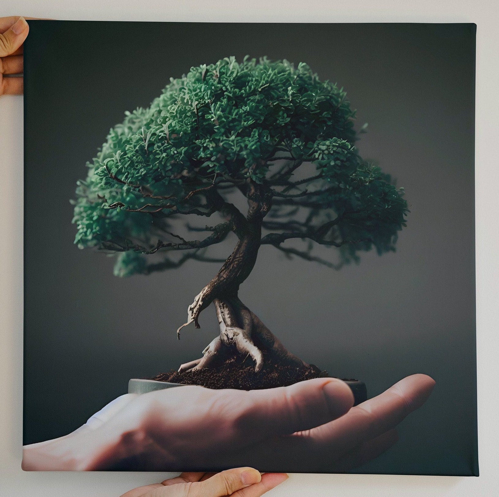 Bonsai Tree Art Wallpaper