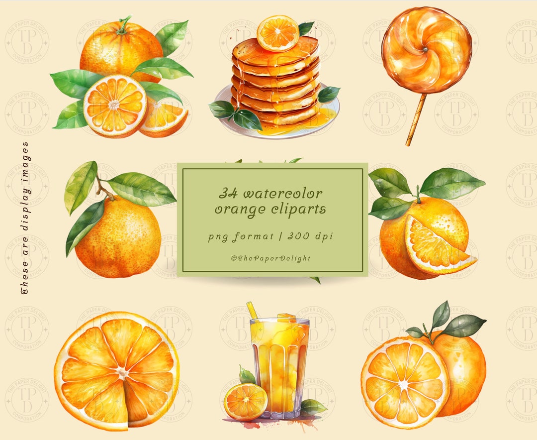 Set De 34 Cliparts D'oranges Cliparts Dans Un Style - Etsy