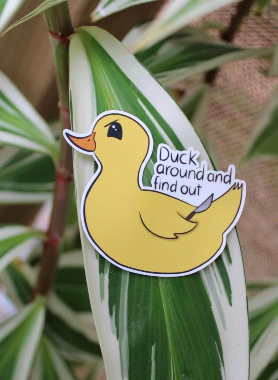 Duck Around and Find Out Sticker | Duck Sticker | Duck With Knife ...