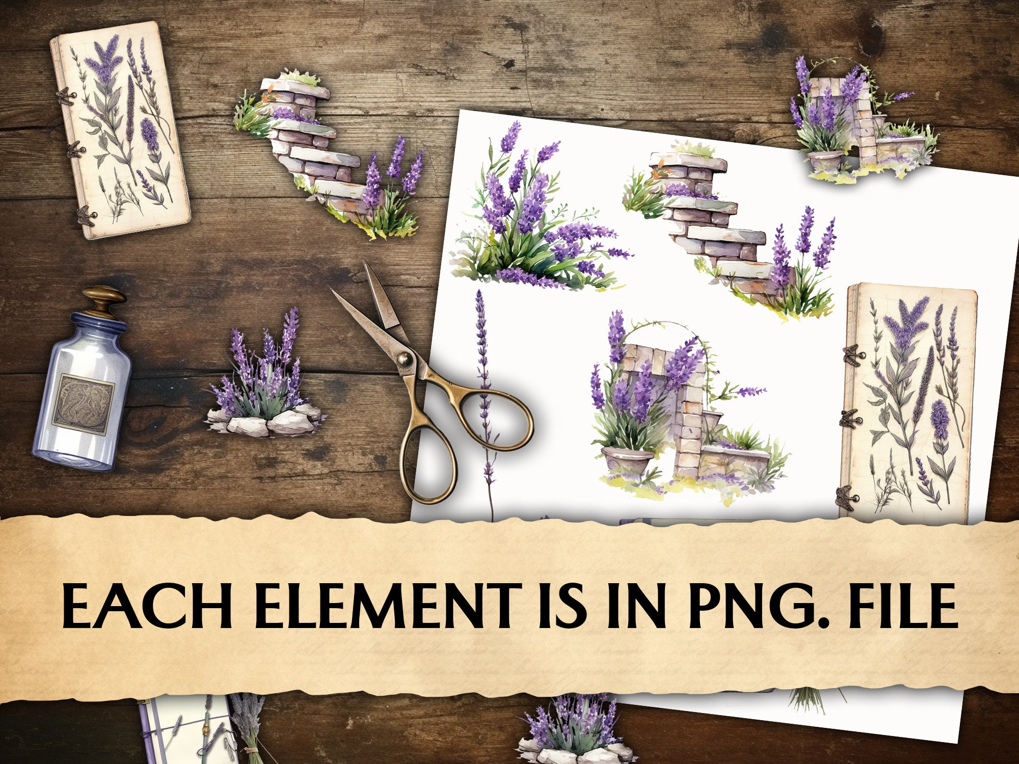 Watercolor Lavender Clipart Kit, Illustrations Lavender Graphics Set ...