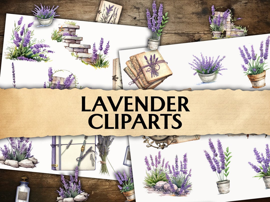 Watercolor Lavender Clipart Kit, Illustrations Lavender Graphics Set ...