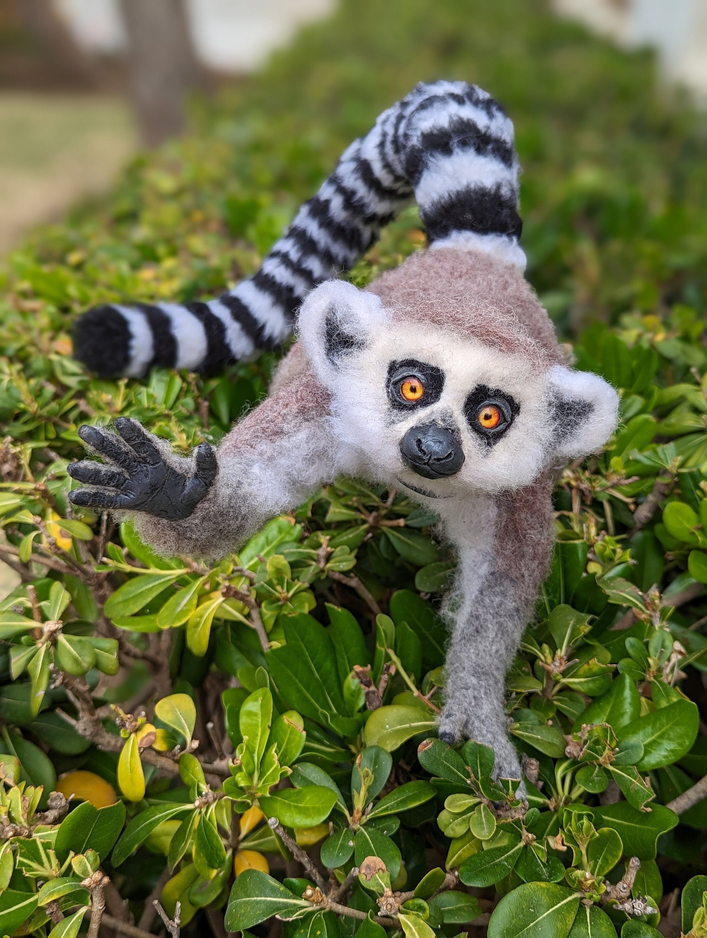Madagascar Movie Baby Lemur