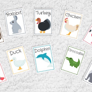 Animal Flashcards for Toddlers Learning Animals Flashcards Montessori ...