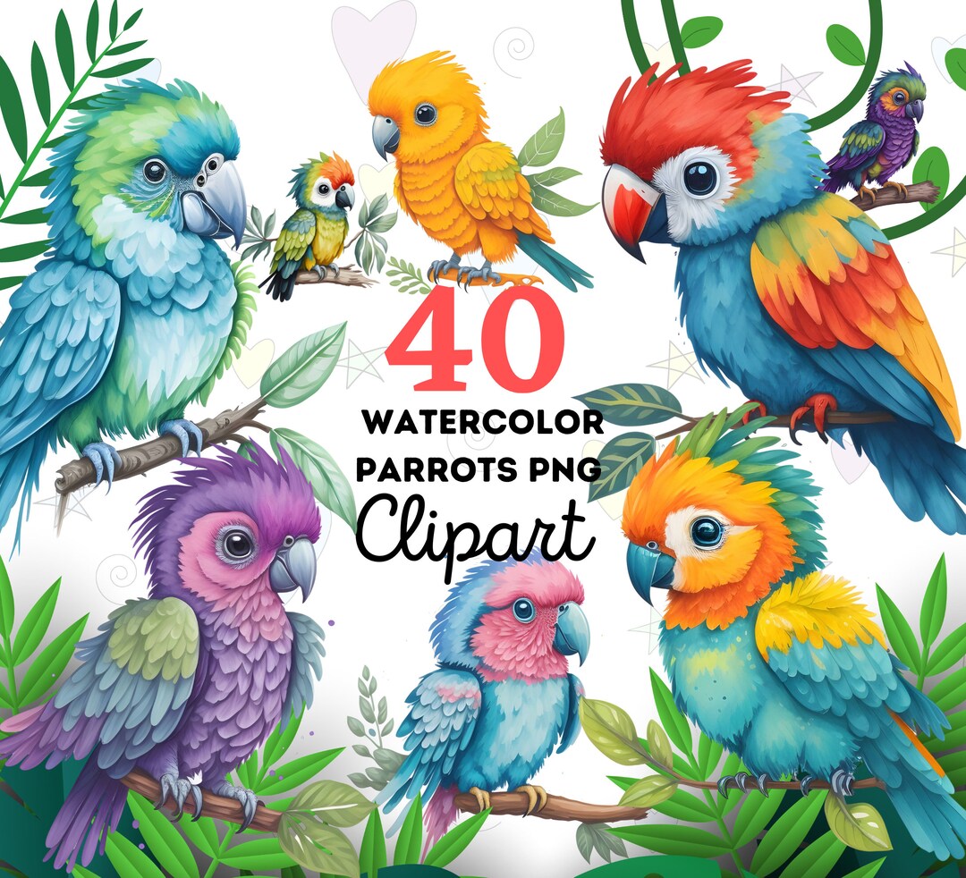 Parrots Watercolor Clipart Exotic Birds Clipart Tropical - Etsy