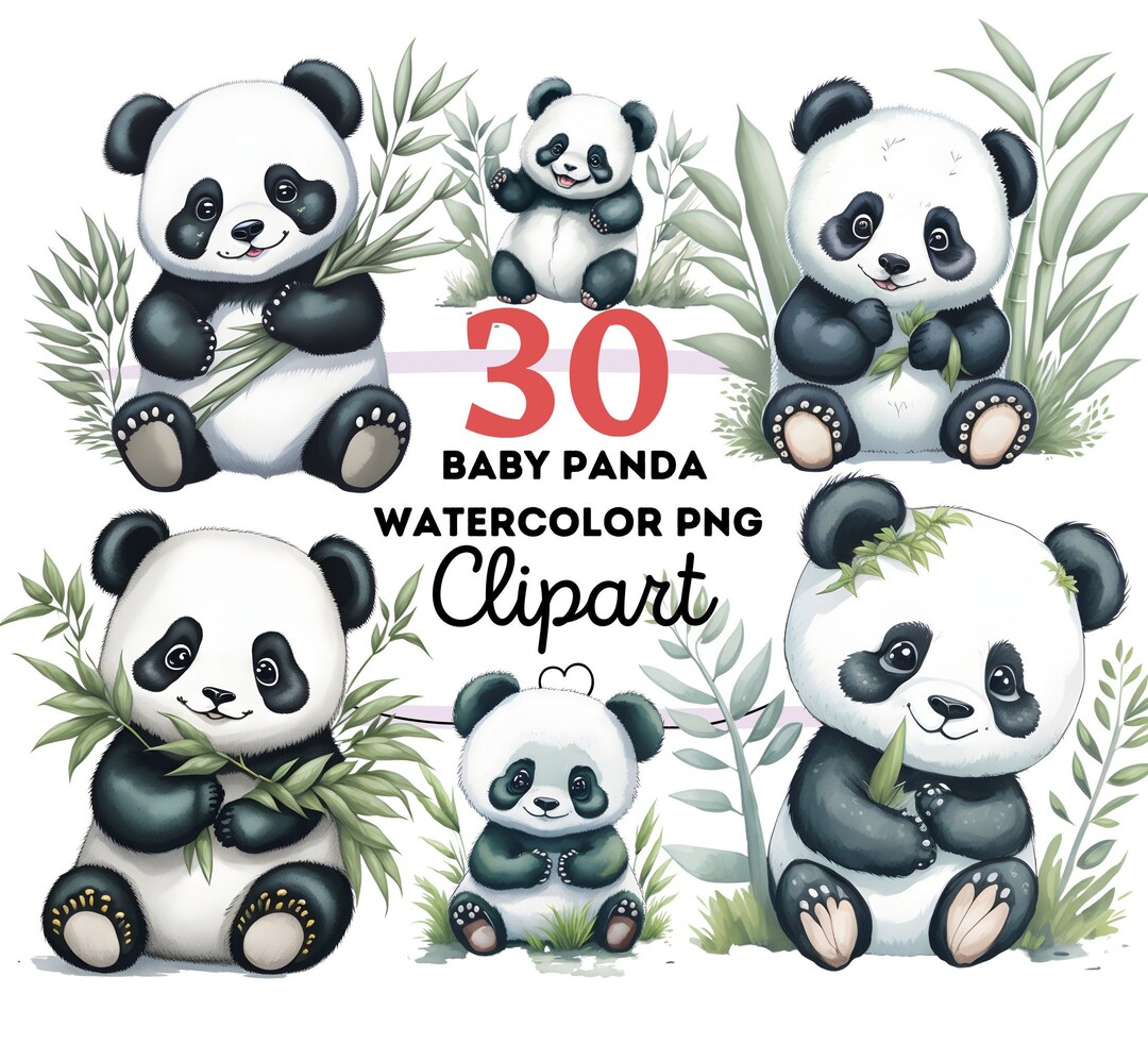 Süßes Baby Panda Clipart Bundle Aquarell Tier Illustration - Etsy