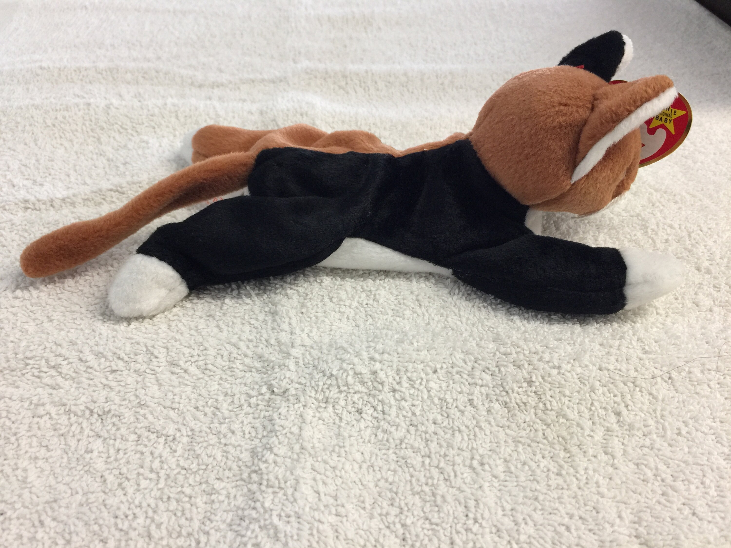 Chip the Calico Cat - Etsy