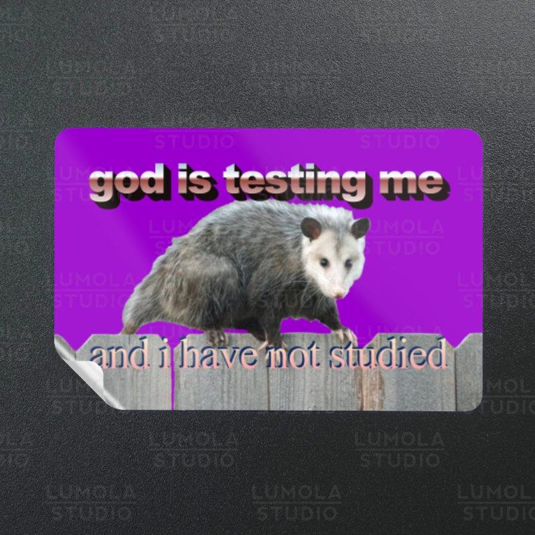 God is Testing Me and I Have Not Studied Possum Word Art Cringe Meme ...