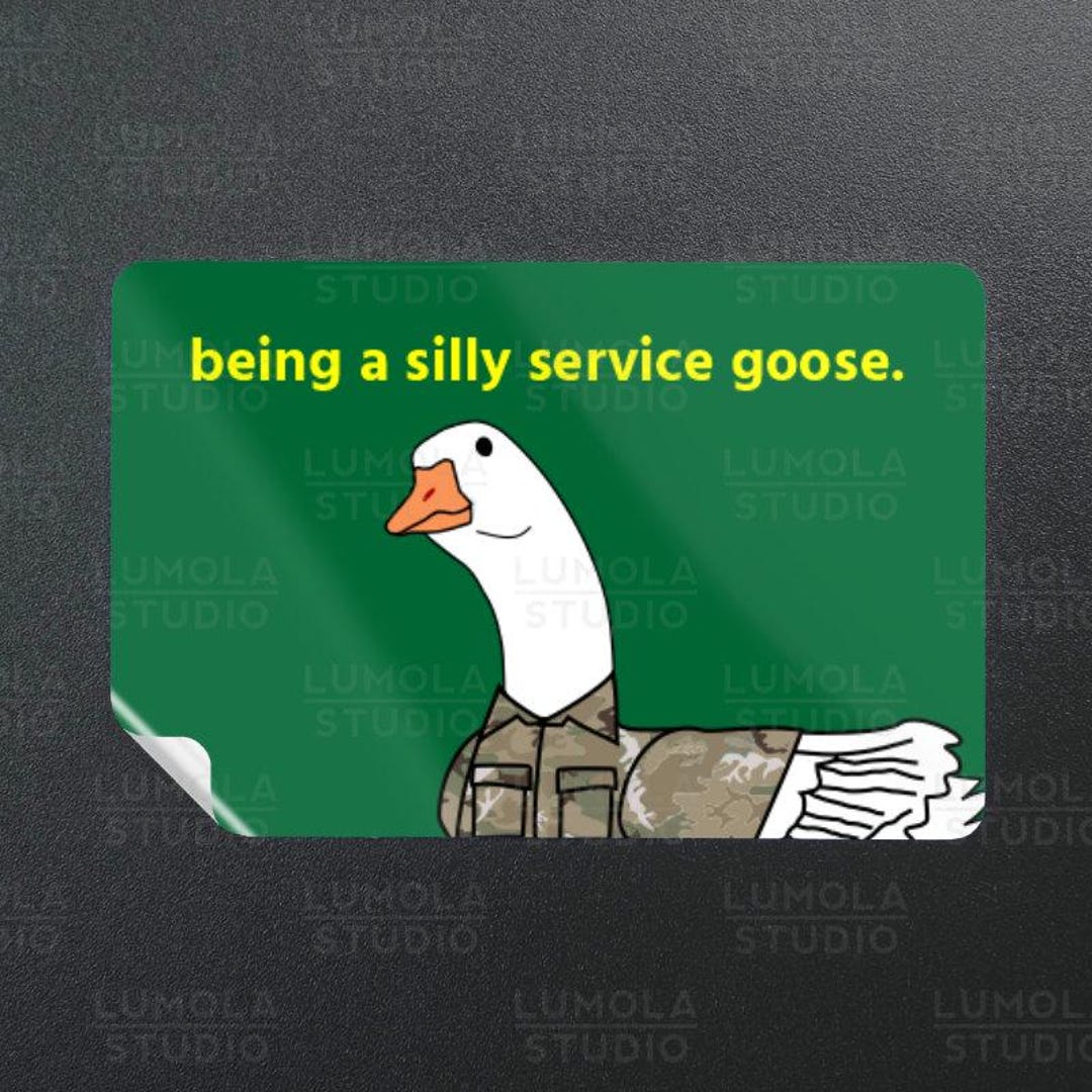 Army Navy Air Force Soldier Military - Silly Goose Jobs Series - Meme ...