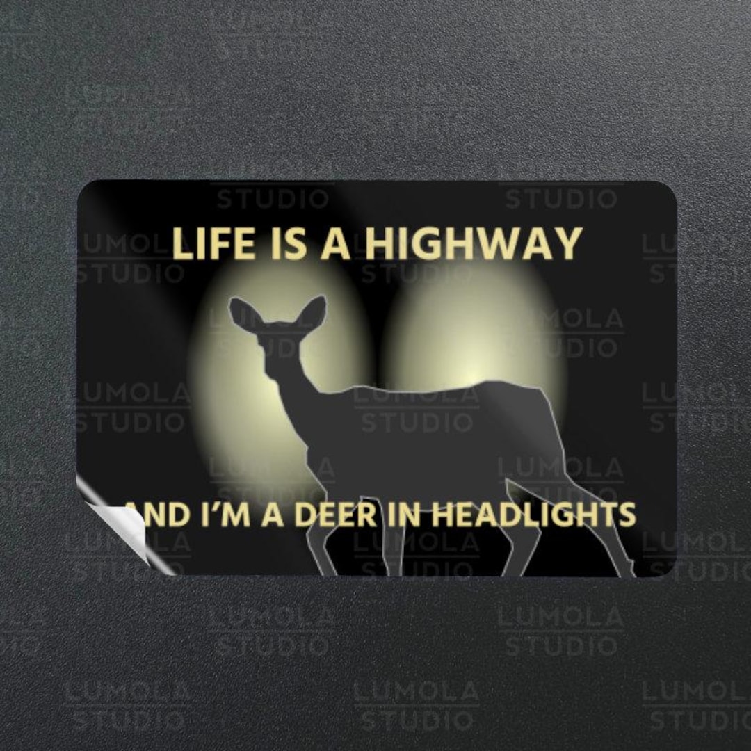 Life is A Highway Im A Deer in Headlights Demotivational Meme Funny ...