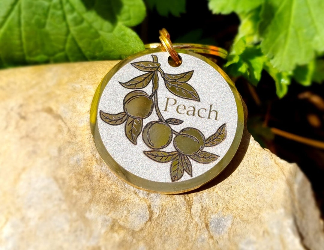 Custom Engraved Pet Tags in Silver, Gold, Rose Gold and Black ...