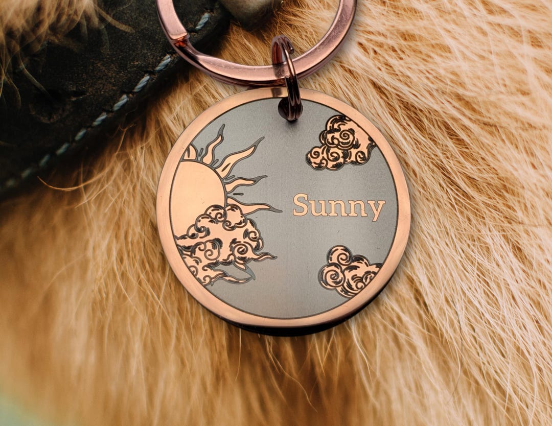 Personalized Sunny Pet ID Tag: Radiant Sun Design for Dogs & Cats in ...