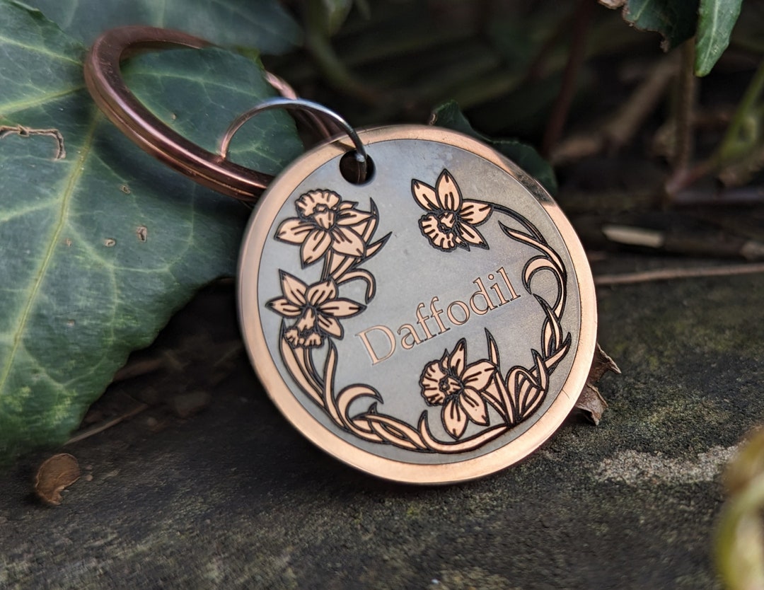 Custom Engraved Pet Tags in Silver, Gold, Rose Gold and Black ...
