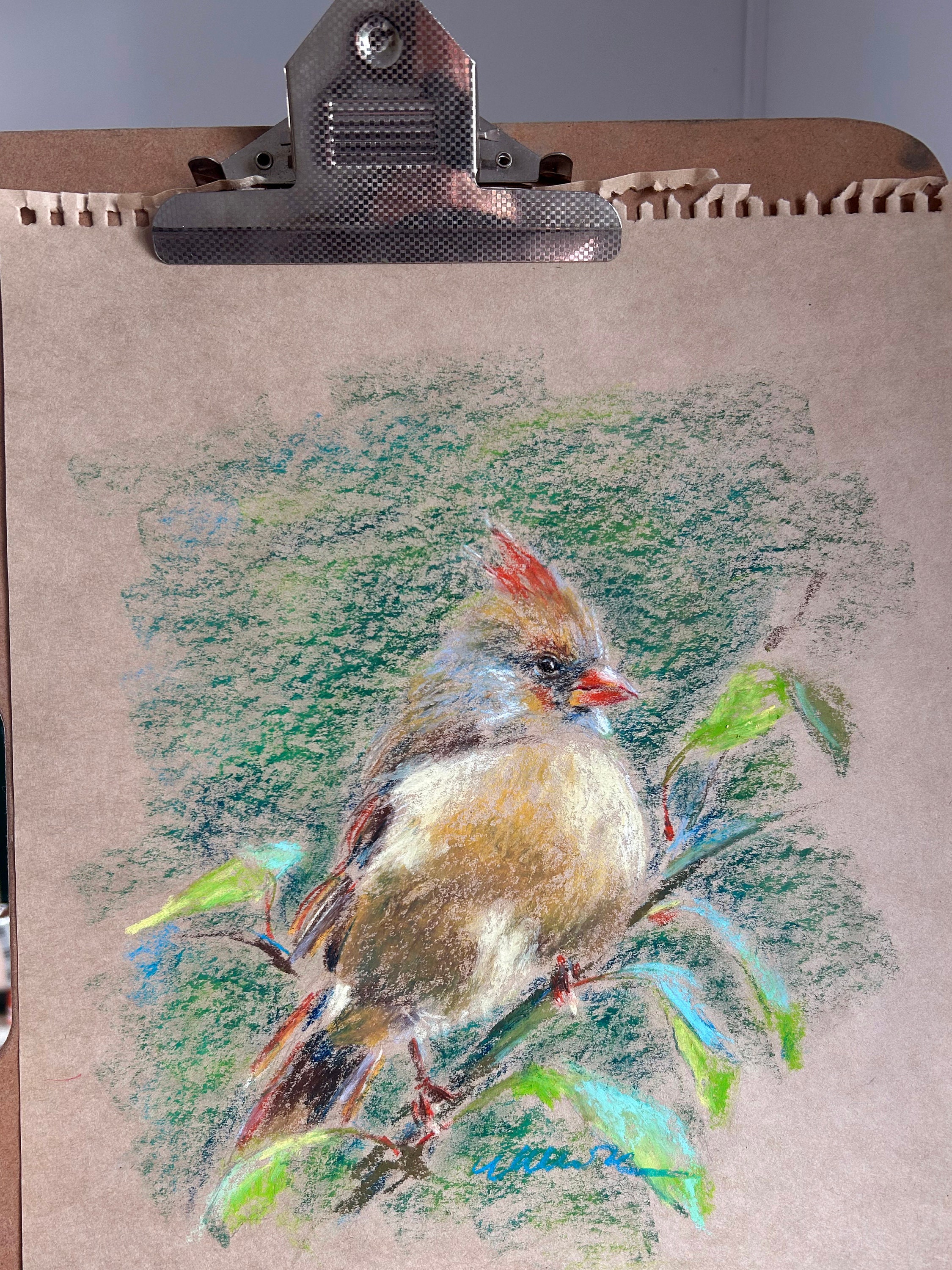 Cardinal Painting Bird Original Art Female Northern Cardinal Oil Pastel ...