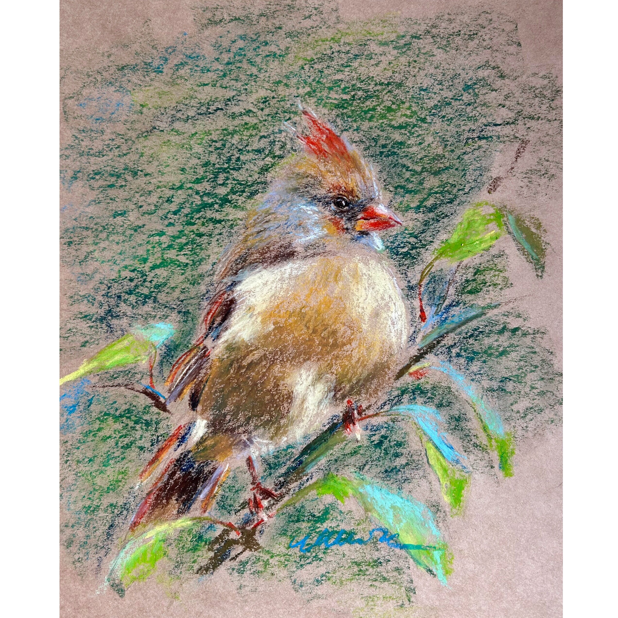 Cardinal Painting Bird Original Art Female Northern Cardinal Oil Pastel ...