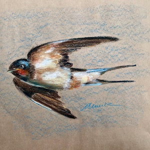 Swallow Painting ORIGINAL Bird Art Barn Swallow Oil Pastel Draiwing ...