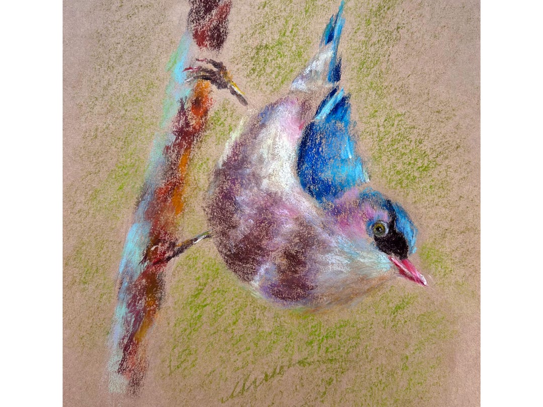 Bird Painting Nuthatch ORIGINAL Art Animal Oil Pastel Drawing Nursery ...