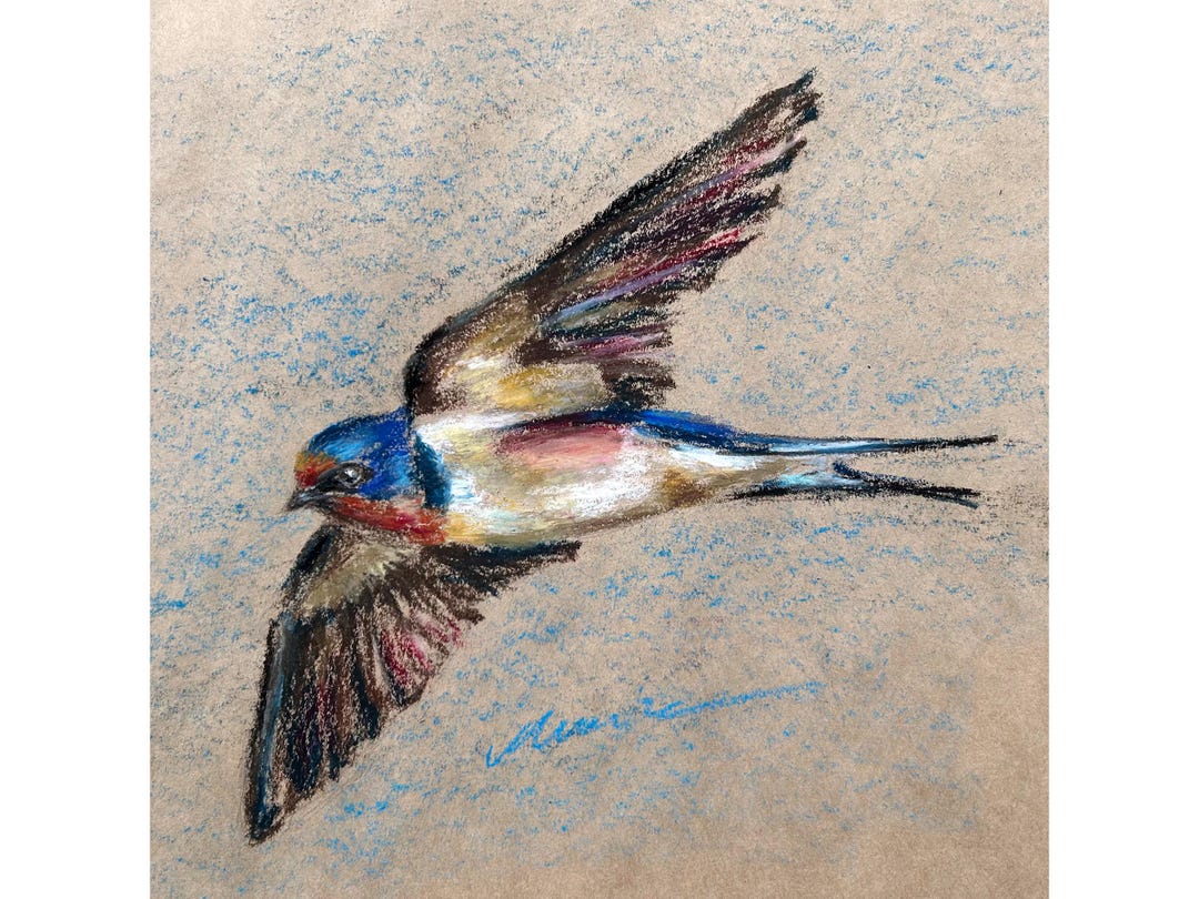 Swallow Painting ORIGINAL Flying Bird Art Oil Pastel Drawing 10x10'' by ...