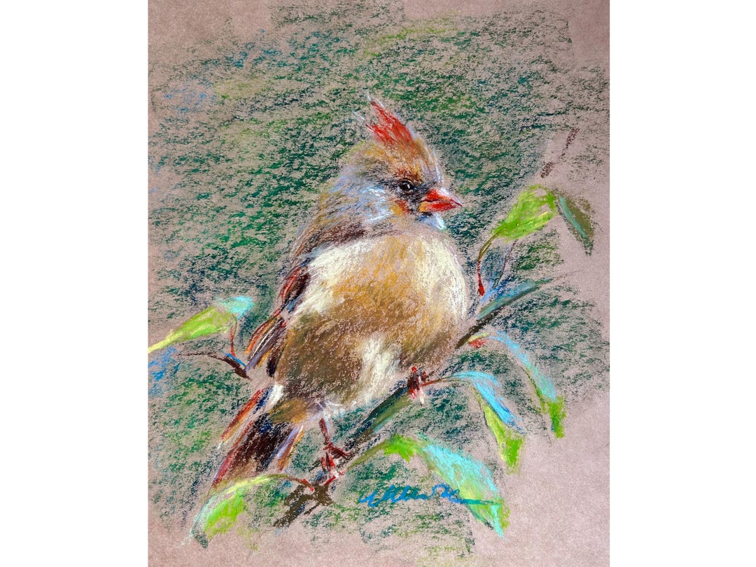 Bird Painting Original Red Cardinal Art Northern Cardinal Oil Pastel ...
