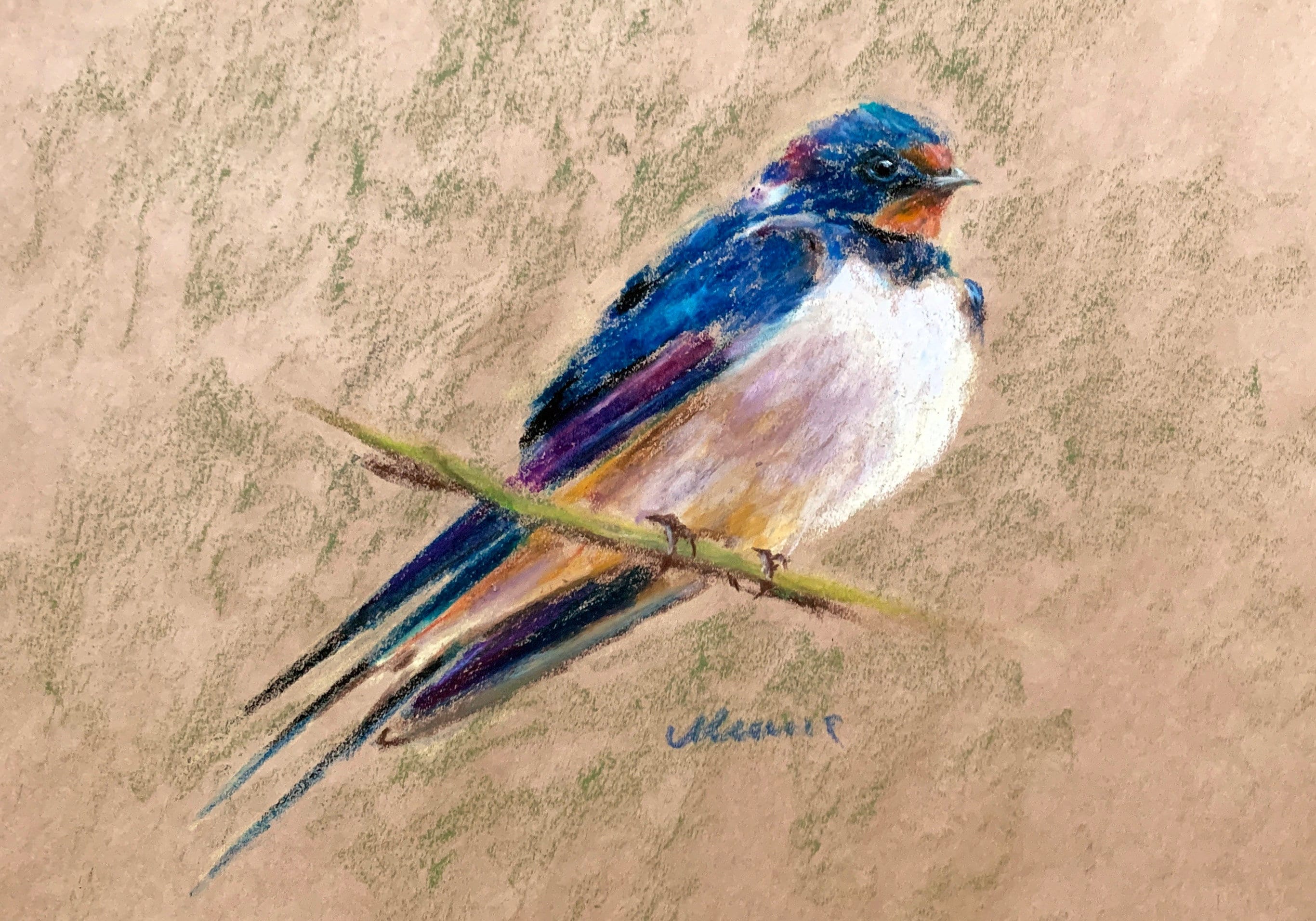 Swallow Painting Farm Bird Original Art Barn Swallow Oil Pastel ...