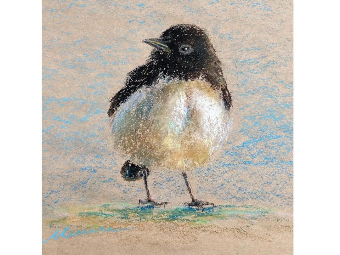 Little Bird Painting Original Animal Art Tuxedo Bird Oil Pastel Drawing ...