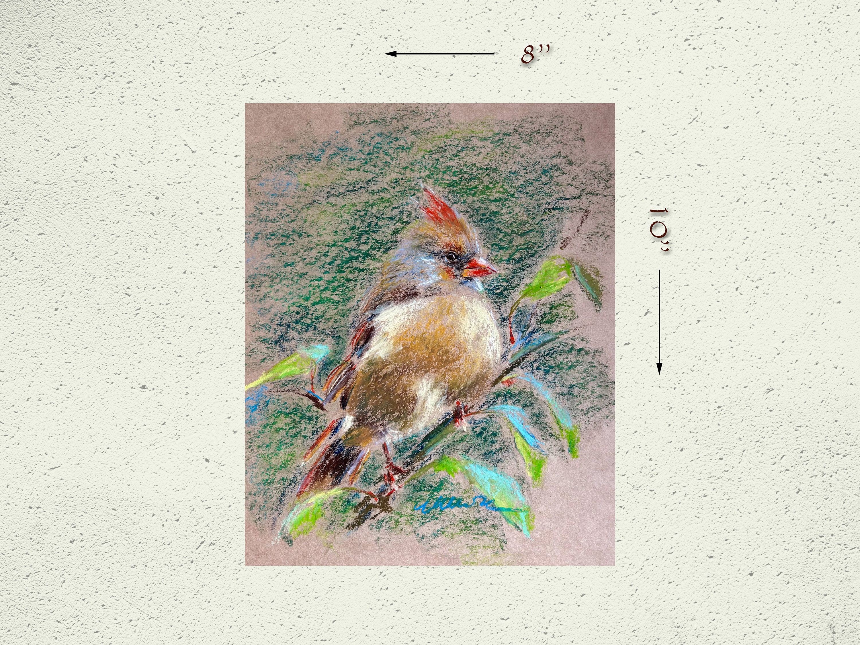 Cardinal Painting Bird Original Art Female Northern Cardinal Oil Pastel ...