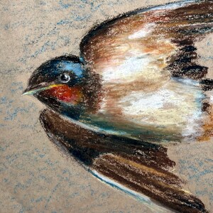 Swallow Painting ORIGINAL Bird Art Barn Swallow Oil Pastel Draiwing ...