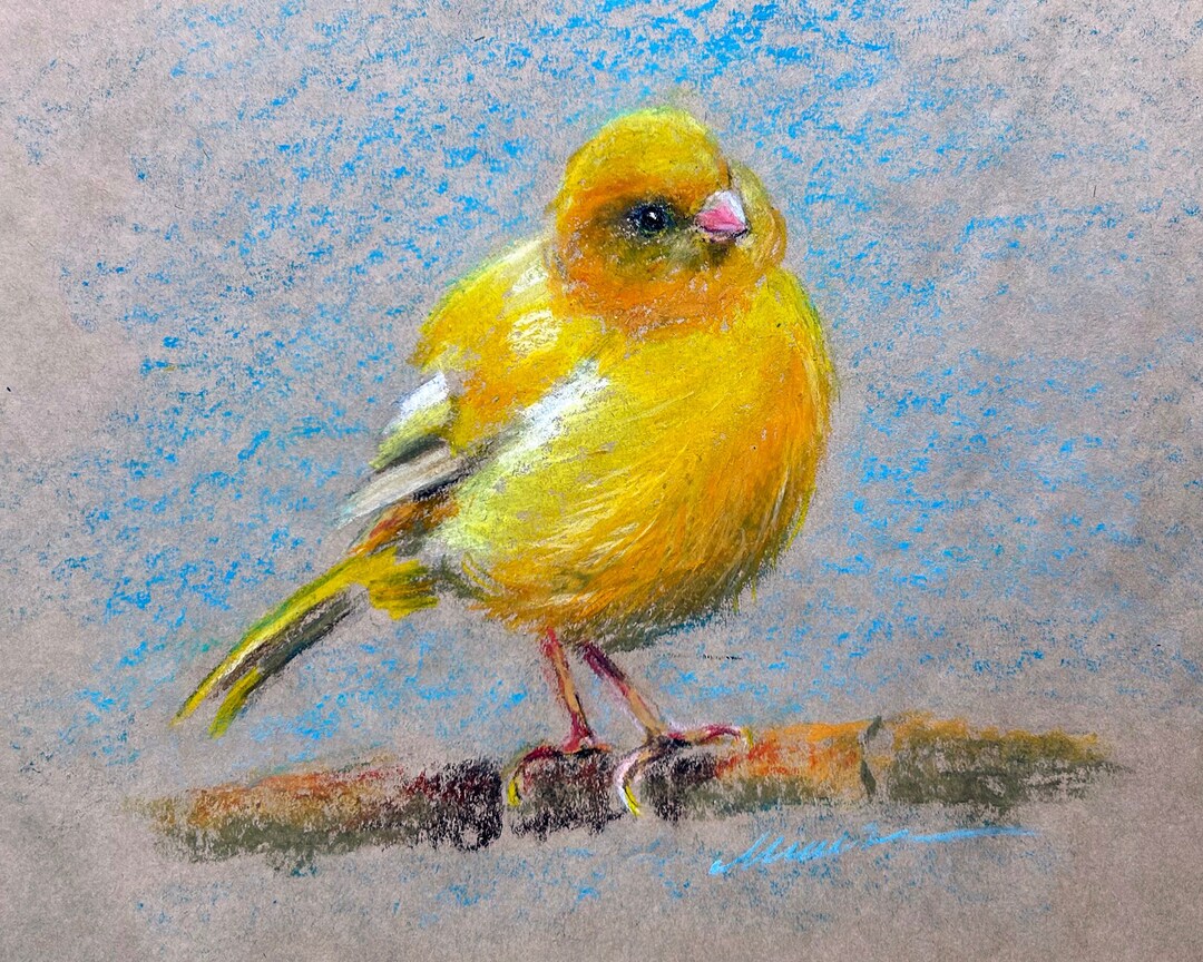 Canary Painting Bird Original Art Animal Oil Pastel Drawing Yellow Gift ...