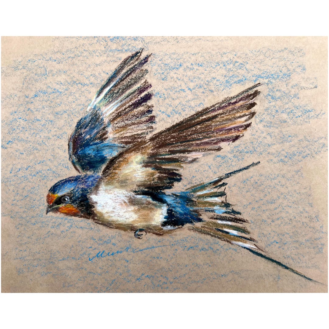 Swallow Painting ORIGINAL Flying Bird Art Oil Pastel Drawing 11x14'' by ...