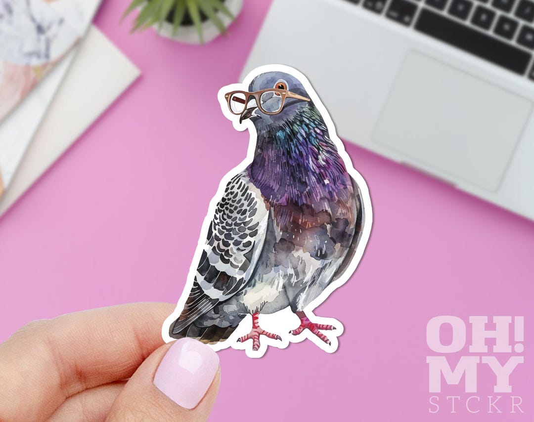Pigeon With Glasses Sticker: Waterproof Vinyl Decal - Etsy