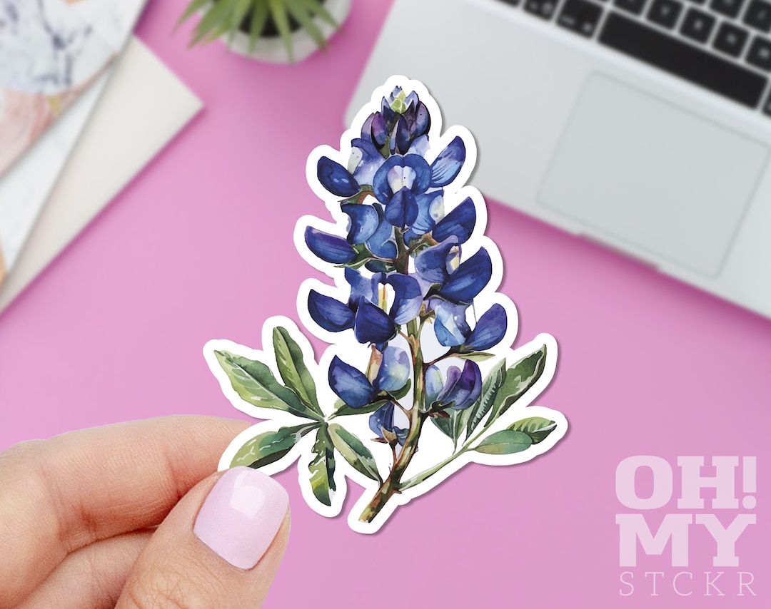 Bluebonnet Flower Sticker: Texas Laptop Decal - Etsy
