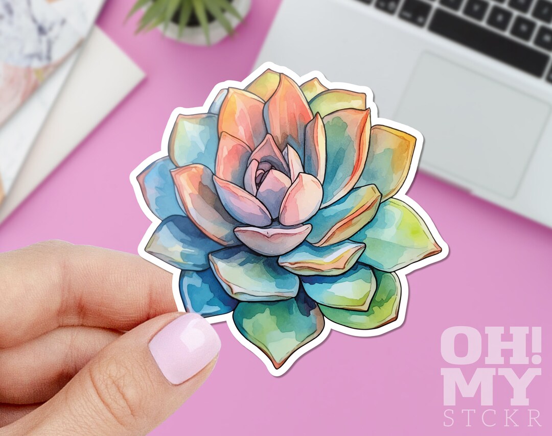 Succulent Sticker, Plant Sticker, Succ It Sticker, Cute Sticker ...