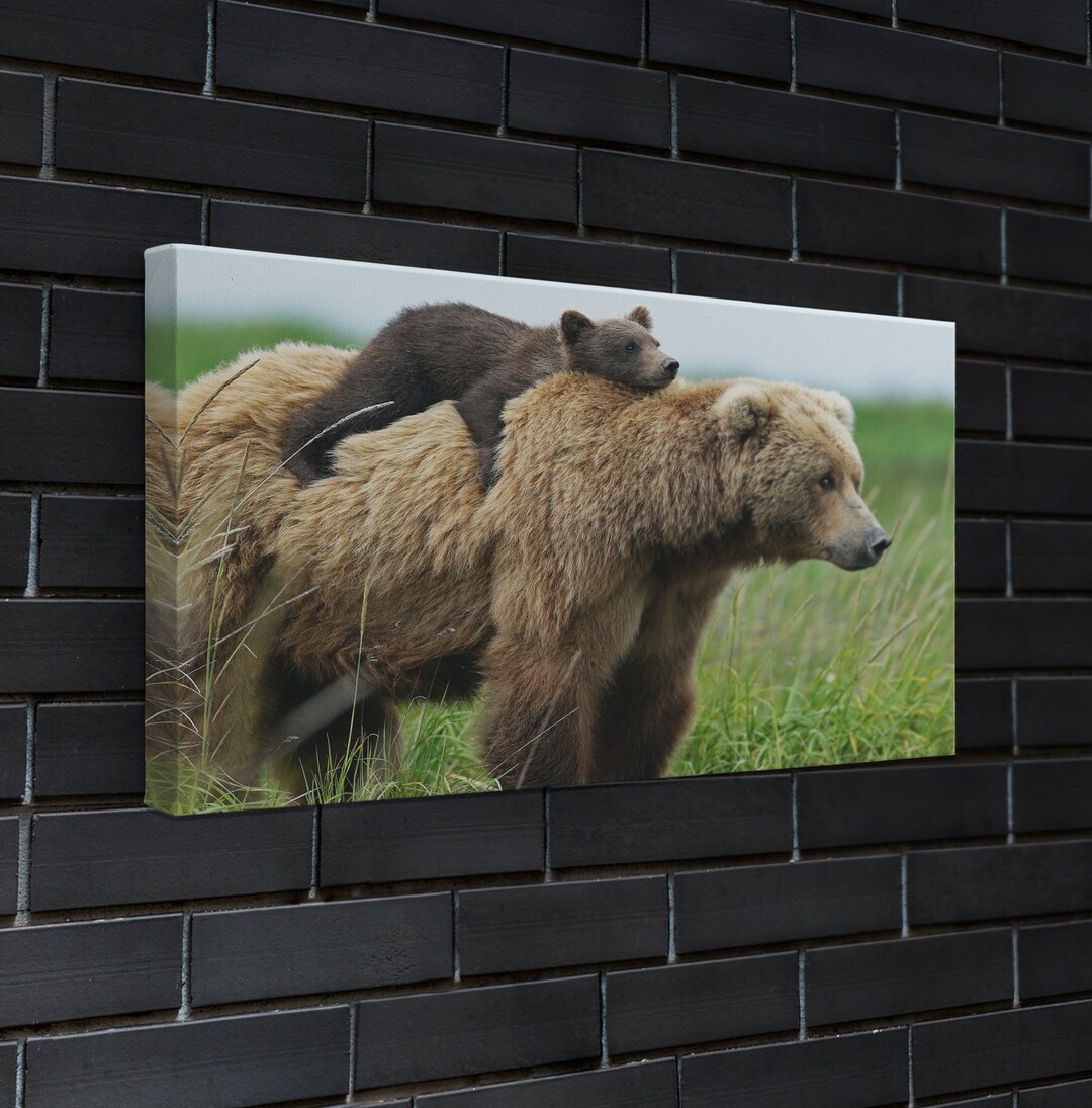 Bear Canvas, Bear Poster, Bear Cub Nursery Wall Decor, Brown Bear Funny ...