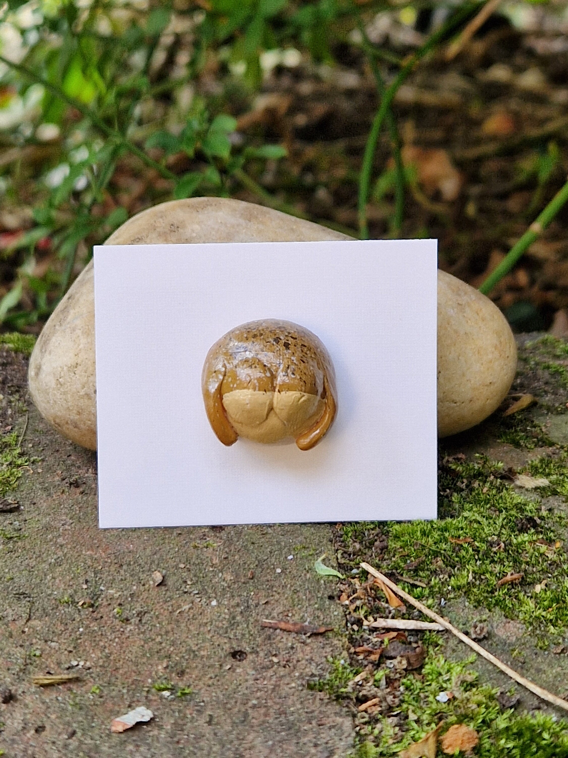 Yawning / Angry / Butt Rain Frog Pins (1 PIN) - Etsy