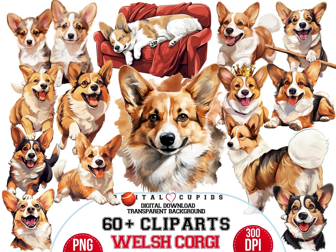 Fabulous Welsh Corgi PNG Clipart Set 300 DPI Corgi Stickers, Graphics ...