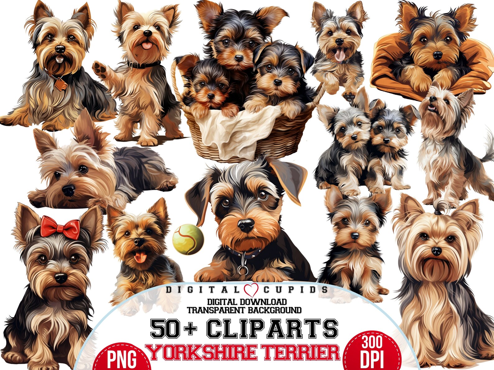 Yorkshire Terrier PNG Clipart Set 300DPI, Yorkie Stickers, Graphics ...
