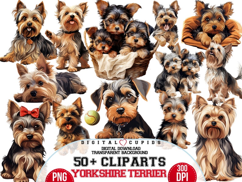 Yorkshire Terrier PNG Clipart Set 300DPI, Yorkie Stickers, Graphics ...