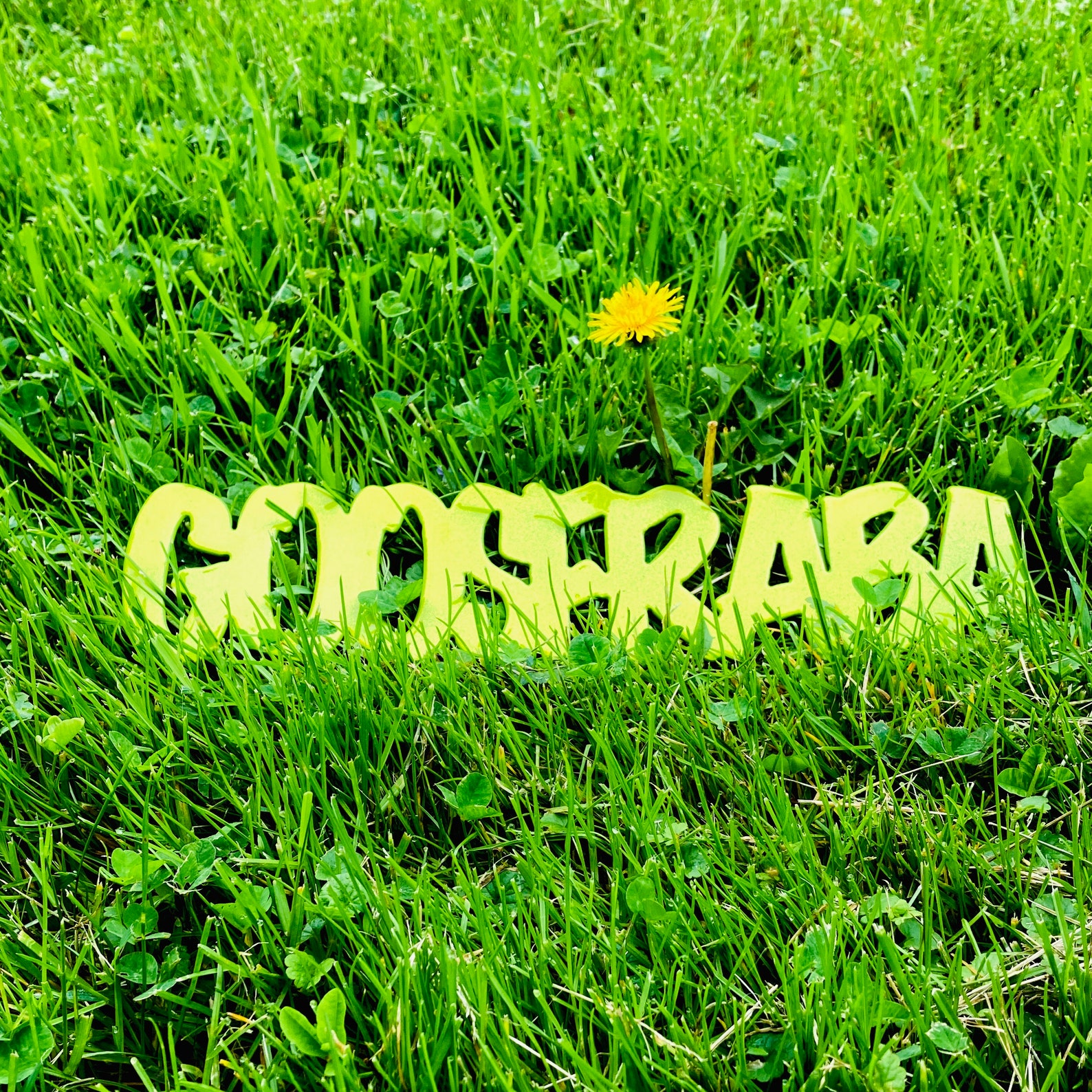 GOOSFRABA Wall Sign for Therapists, Teenagers, Teachers, and Help With ...