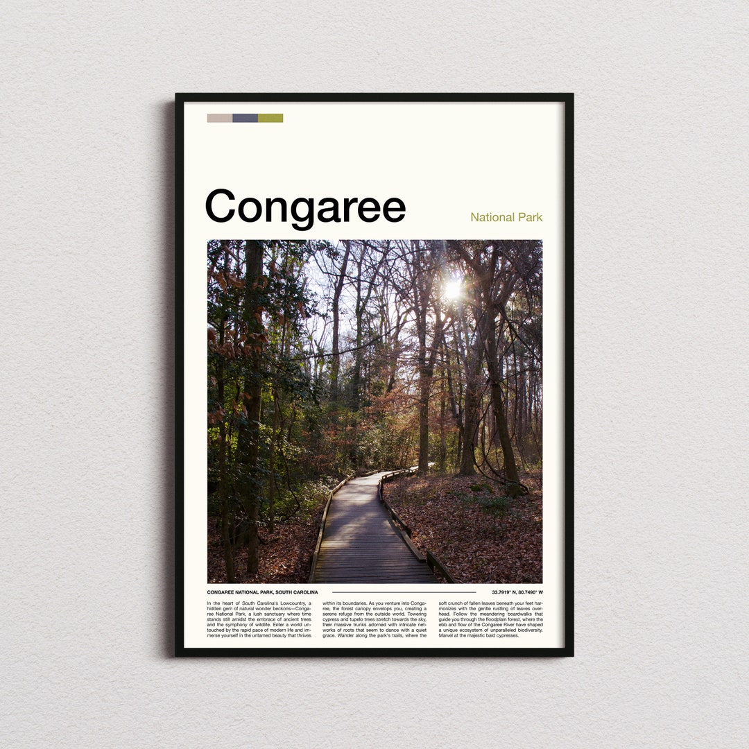 Congaree National Park Print, Congaree National Park Poster, Congaree ...