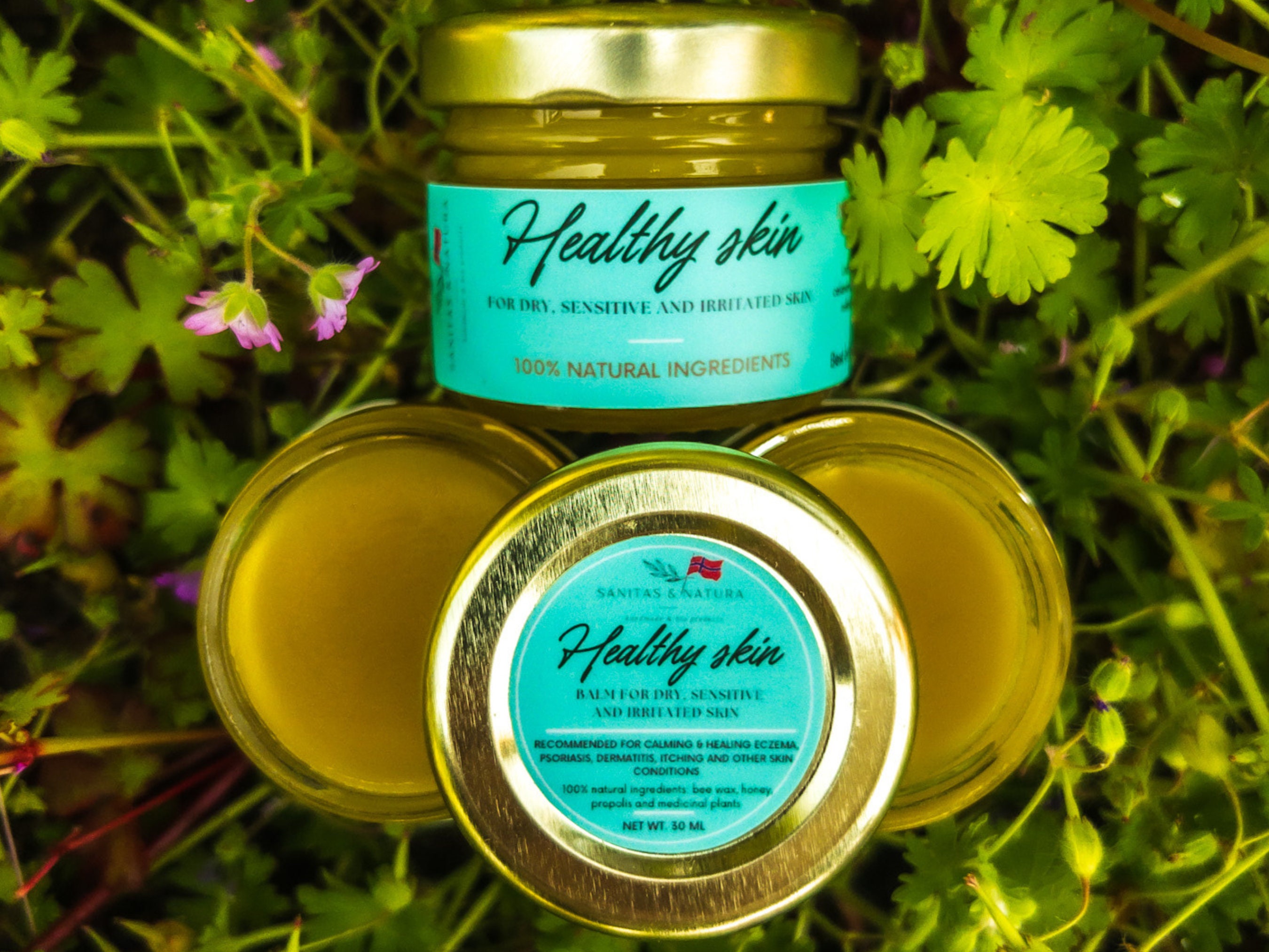 Healthy Skin Balm - Propolis, Honey, Beeswax & Herbs- Handmade Salve ...
