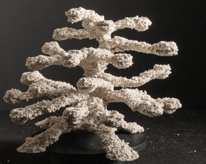 Reefblend Tree With Frag Plug Mounts #1000 – WYSIWYG Aquascape Reef ...