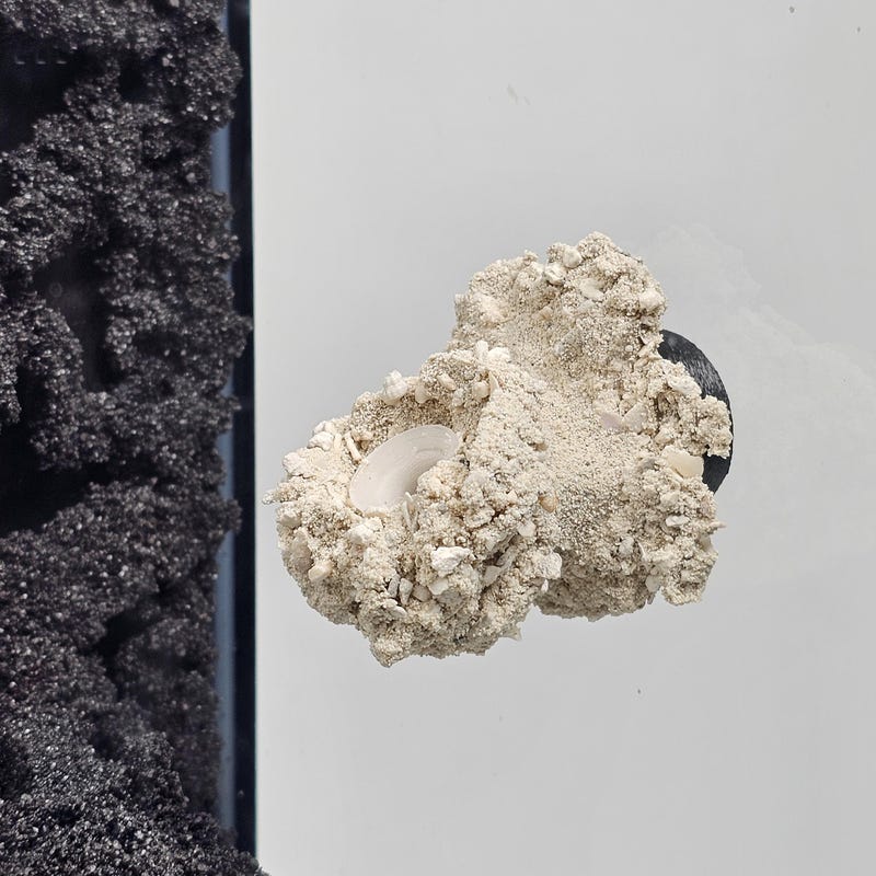 Aquarium Rock - Etsy