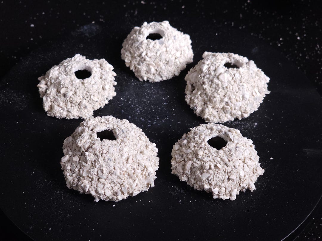 Reefblend Dome 2" Drilled | Sand & Crushed Coral Frag Mount ...