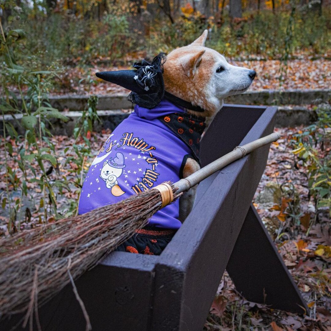 Suki's Howl-o-ween Dog Hoodie - Etsy UK