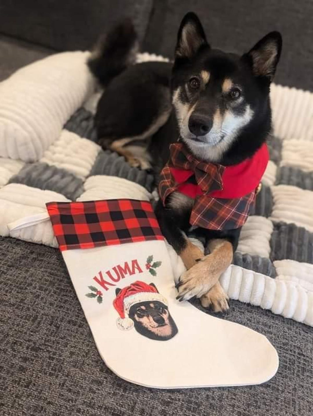 Custom Pet Christmas Stocking Personalized Dog Stocking Personalized ...