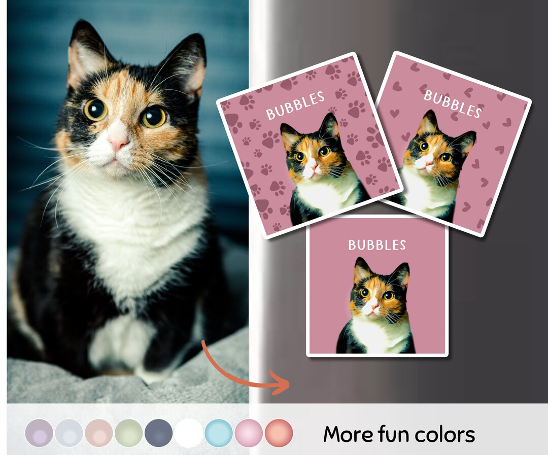Custom Cat Magnet Using Pet Photo Custom Cat Portrait Magnet ...