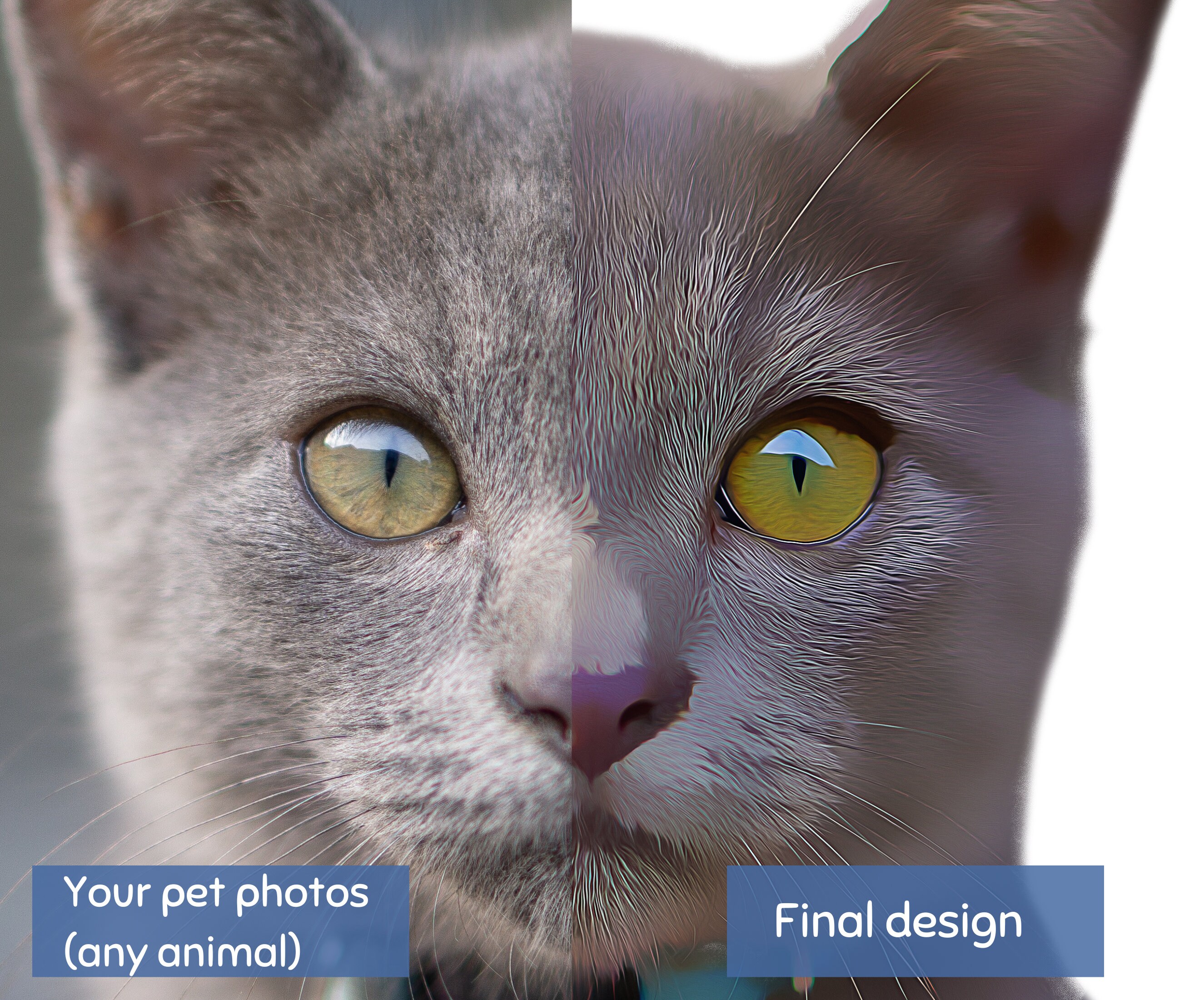 Custom Cat Sticker Using Pet Photo Custom Cat Sticker Custom Dog ...